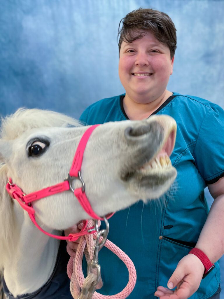 Our Team in Limerick, PA | Limerick Veterinary Hospital